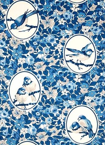 Budgie Bluebird | Fabric Sale - Clearance Fabric
