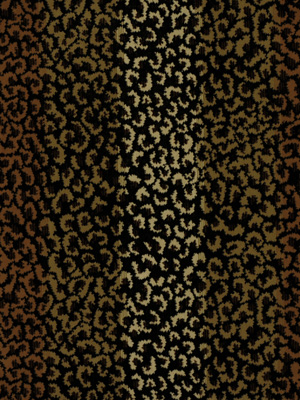 ROCK LEOPARD LEOPARD - Beacon Hill Miscellaneous - Beacon Hill Color Books