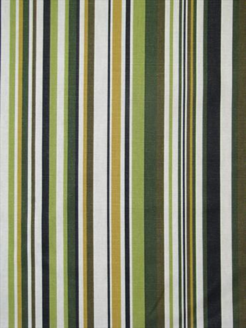 Goa Stripe Sage | Fabric Store - Discount Fabric by the Yard