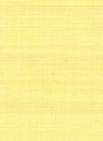 CLIPPER PALE YELLOW DZ53 | Cotton Fabric